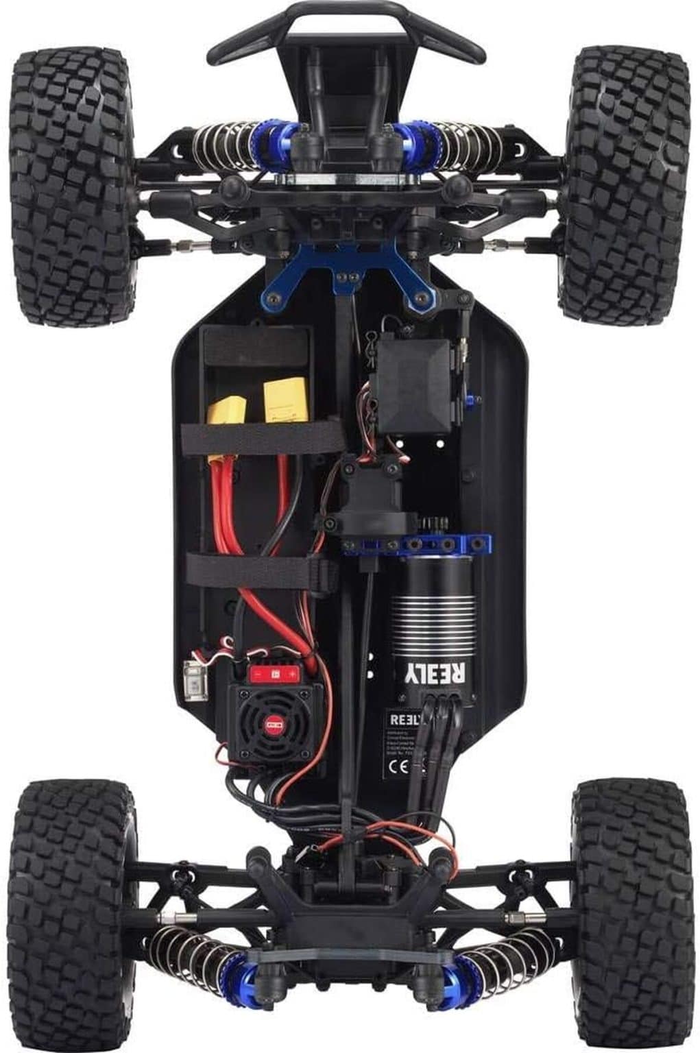Test du buggy électrique Reely Raptor 6S brushless 1 : 8 RTR 4WD